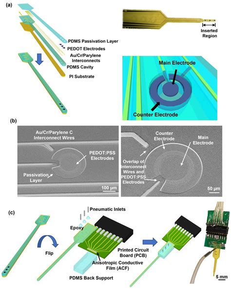 Neural Implant With Dynamic Electrode Position Control Knowledge Transfer Office