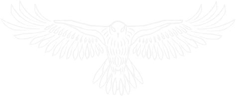 Botpress AI Chatbot Color And Style Customization MediaHoch