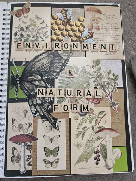 Natural Forms Mind Map Mood Board Gcse Art Natural Form Art Gcse Art Sketchbook