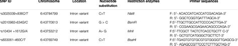 Description And Primer Sequences Used For Genotyping For 4 Snps Within Download Scientific