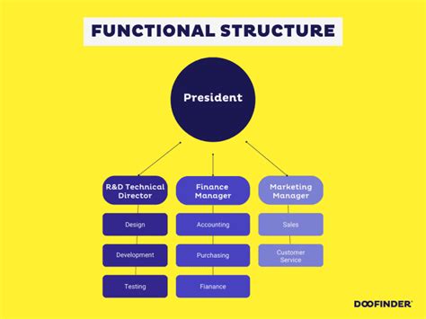 11 Types Of Organizational Structures Examples