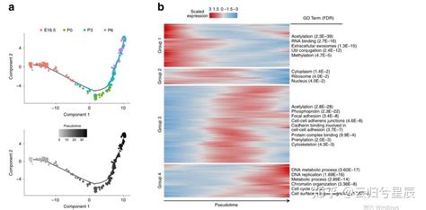 单细胞转录组数据挖掘分析有什么作用 知乎