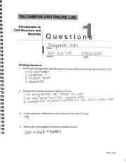 Pre Lab Pdf Course Hero