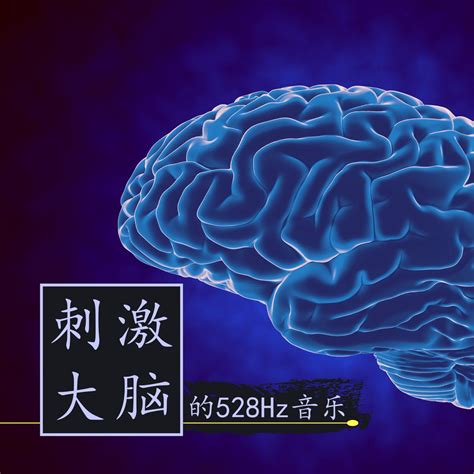 ‎《刺激大脑的528hz音乐 变天才必听的大脑音乐》 大脑开发的专辑 Apple Music