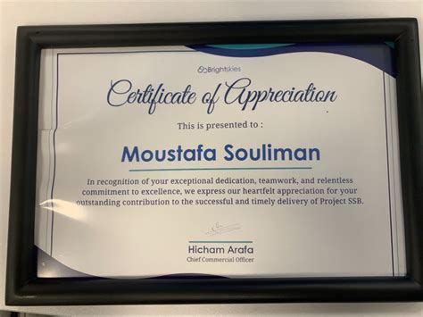 Moustafa Soliman On Linkedin Its Always Great To Feel Appreciated Thanks Brightskies For That