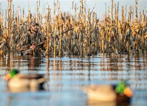 managing duck impoundments mossy oak gamekeeper
