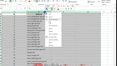 Row Height And Column Width In Excel Bangla Youtube