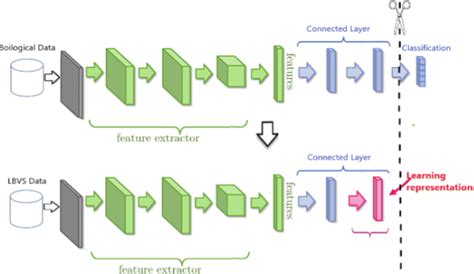 Learning Representation Of The Proposed Cnn Model Download Scientific Diagram