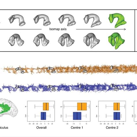 Isomap Algorithm Capacity Left Isomap Automatically Finds The