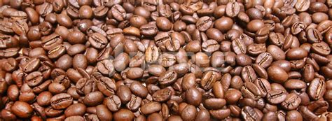 커피 원두를 길게 깔고 찍은 사진