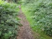 Public Woodland Sex Ends With Big Cumshot Xxx Mobile Porno Videos Movies IPornTV Net