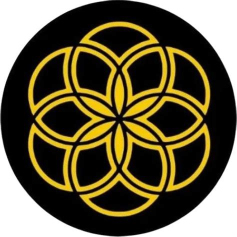 Dismantling Cody Weissingers Peavey Electronics Guitar Check Out The