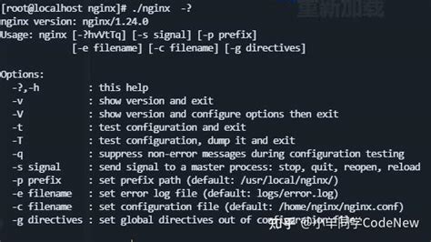 Nginx 常用命令 知乎
