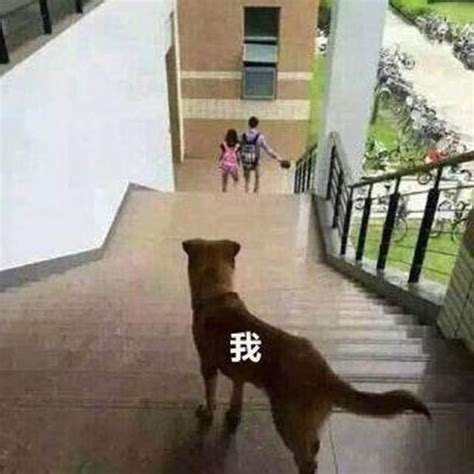 别人的七夕你的七夕表情包配图网