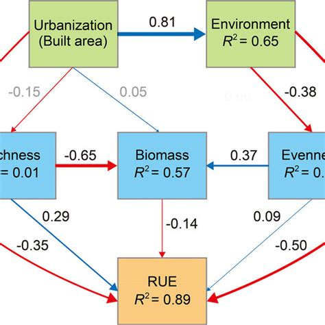 Partial Least Squares Path Models Showing The Relationships Between Download Scientific