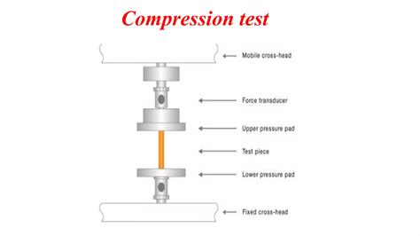 Lec Compression Test Pdf Physics Science