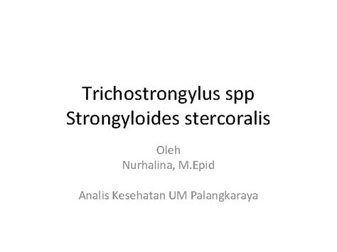 Trichostrongylus Spp Strongyloides Stercoralis Oleh Nurhalina M Epid