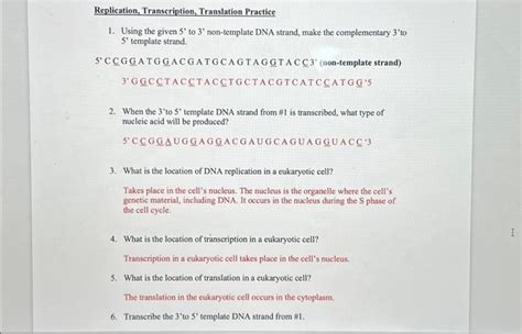 Solved Replication Transcription Translation Practice 1