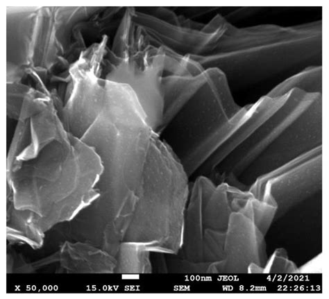 Sem Image Secondary Electrons Of The Bn Nanosheets Formed Near The Download Scientific