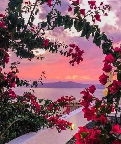 Гэр бүлдээ эко бүтээгдэхүүн сонгоё