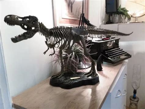 Large Replica Dinosaur Skeleton Fossil Model Of A Tyrannosaurus Rex £68
