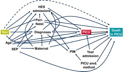 78 Sex Differences In Intensive Care Mortality During Infancy And