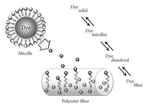 Disperse Dyeing Mechanism For Polyester Fibers Download Scientific Diagram