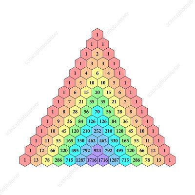 Pascal S Triangle Stock Image C Science Photo Library Pascal S Triangle Stock Image C Science Photo Library