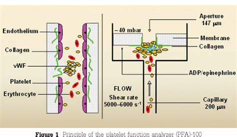 Platelet Function Assay Normal Values At Randall Nealon Blog