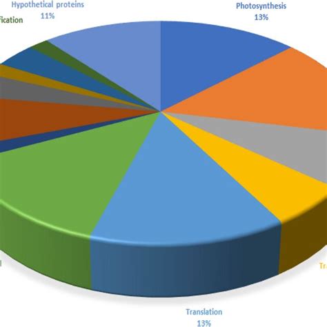 Functional Classification And Distribution Of The Differentially Download Scientific Diagram