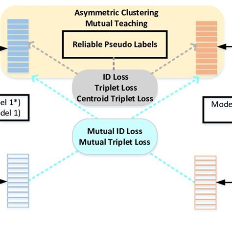 Details Of Asymmetric Mutual Mean Teaching First The Features