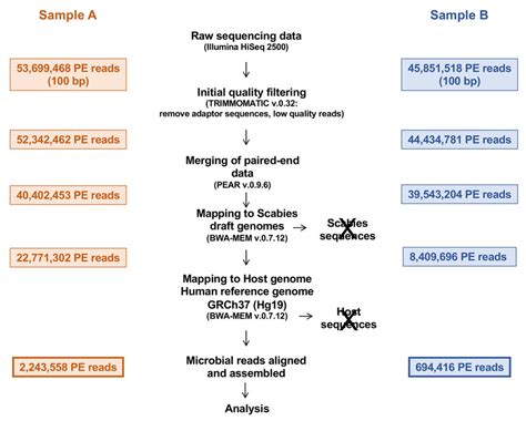 The Bioinformatic Pipeline Illustrating The Different Steps And The Download Scientific Diagram