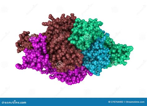 Complex Of The Catalytic Portion Of Human Hmg Coa Reductase With Hmg