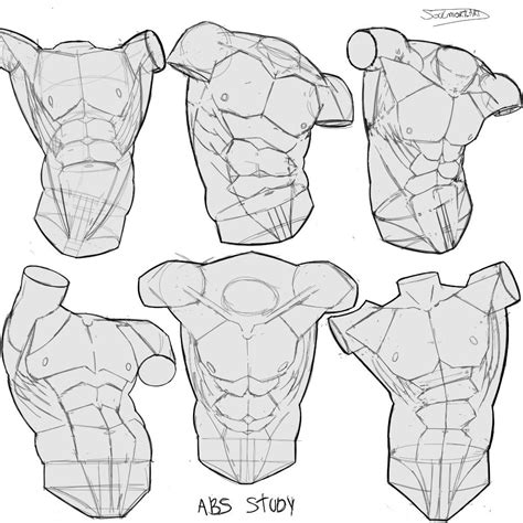 Anatomy Artofit