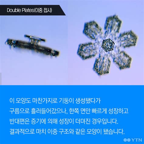 더쿠 눈 결정 모양 유형