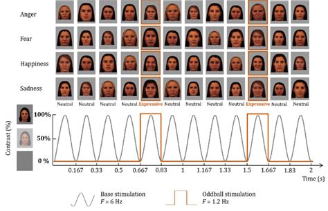 Fast Periodic Visual Stimulation Oddball Paradigm Neutral Faces Are Download Scientific