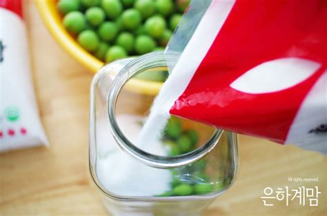매실청 담그기 박나래표 매실청 담그는법 매실에이드 만들기 꿀팁