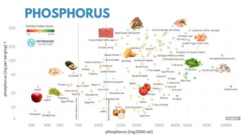 High Phosphorus Foods And Recipes Optimising Nutrition
