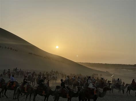 Deepseek 资料合集 Giser文森