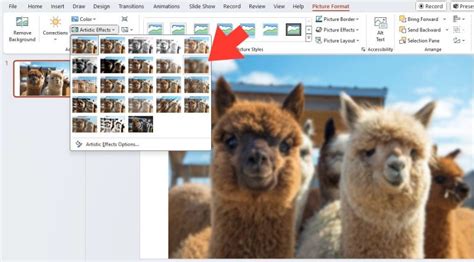 How To Easily Blur Images In PowerPoint MyExcelOnline