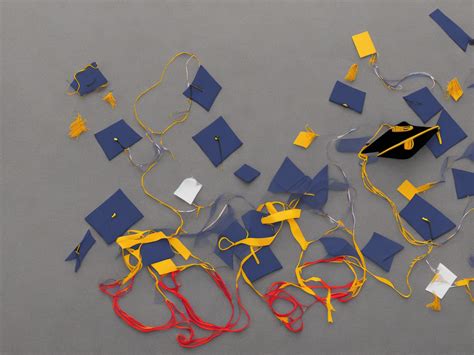 Whats The Difference Between College And University