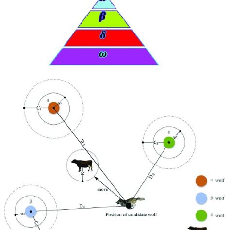 gwo algorithm structure and concept download scientific diagram