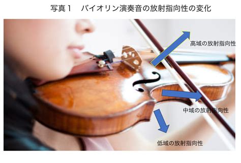 弦楽器励振装置とは Strings Audio Lab 合同会社