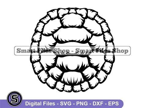 Turtle Shell Svg Turtle Svg Turtle Shell Dxf Turtle Shell Png Turtle Shell Clipart