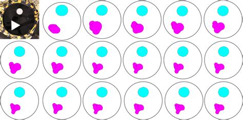 Shape And Topology Evolution During The Mmc Based Shape Reconstruction