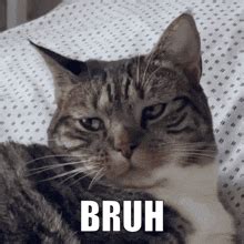 Bruh Meme” Tenor