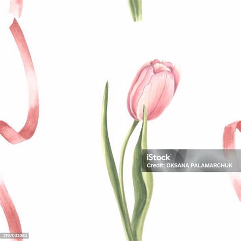 나뭇잎과 리본이 있는 분홍색 튤립 완벽 한 패턴 손으로 그린 수채화 그림입니다 봄 분홍색 꽃입니다 정원 식물에서 꽃 배경입니다 벽지 섬유 포장 표지에 대 한 템플릿 개화기에