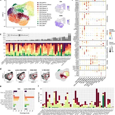 Unsupervised Cell Clustering Classifies Car Variants Based On Distinct