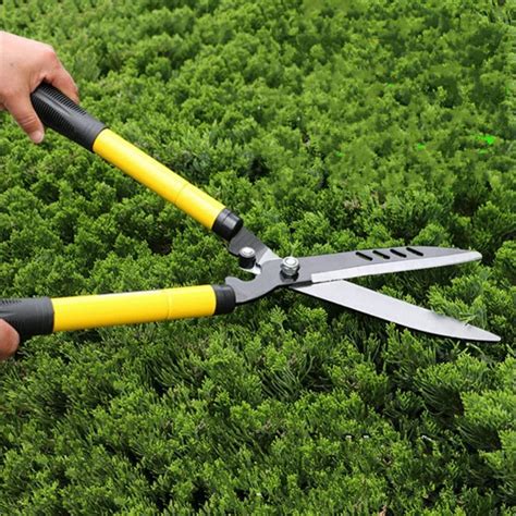 Buy Pruning Tool Big Grass Scissors Straight Blade