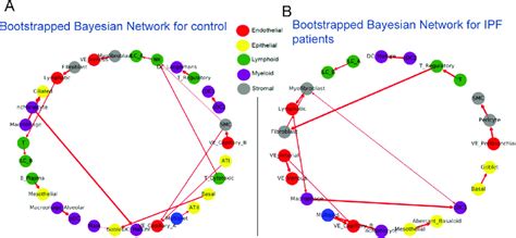 Bayesian Networks Bn Learned For Lung Cell Types In Healthy And Ipf Download Scientific